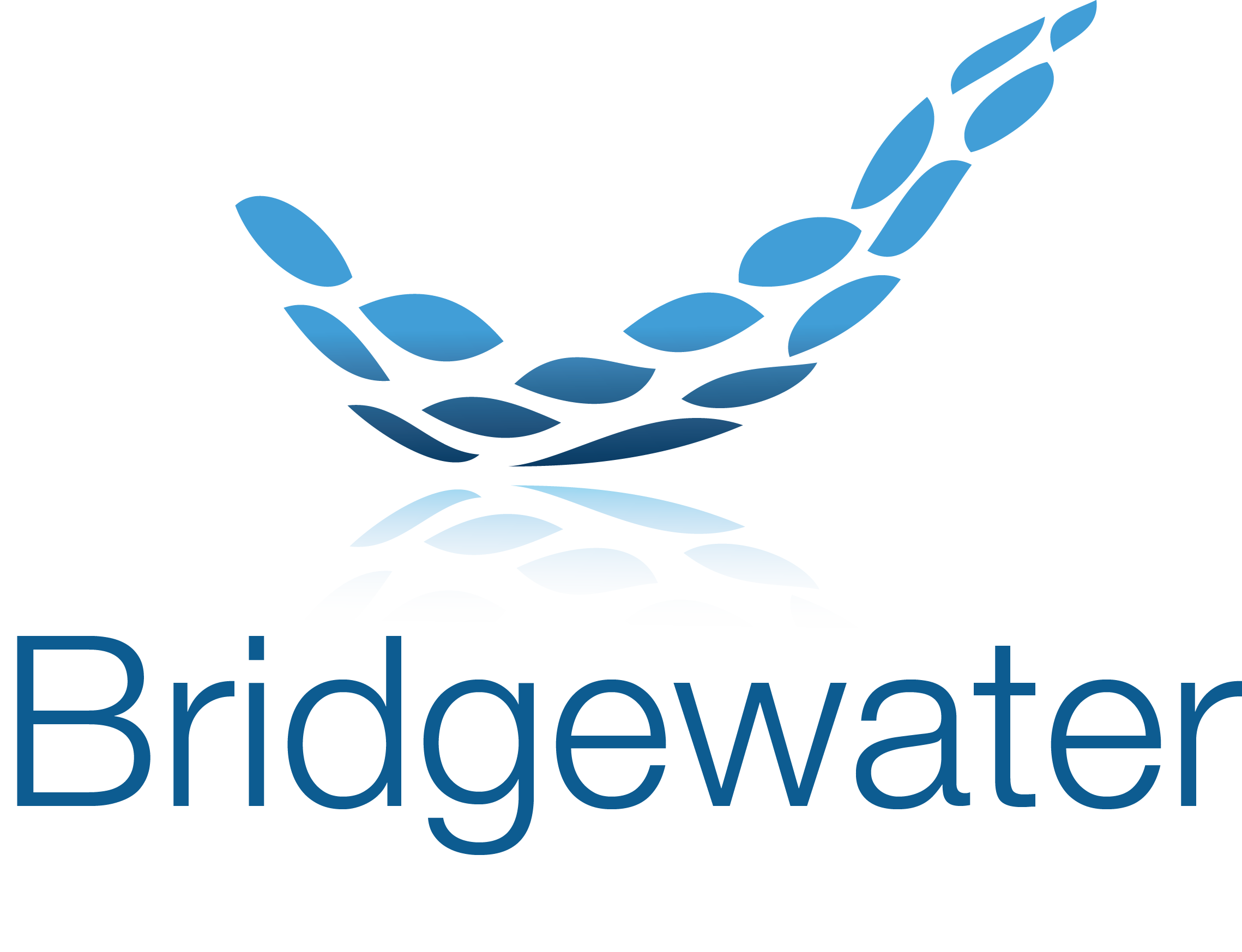 Bridgewater Bank Logo